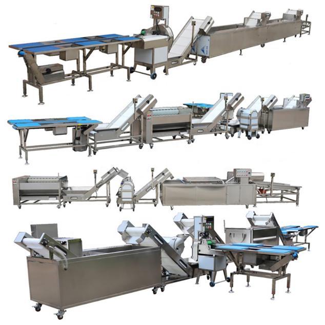 Fruit and Vegetable Processing Line - Baixin