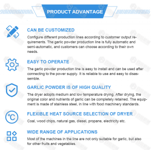 Automatic Continuous Garlic Processing Line - Baixin