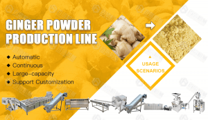 Automatic Continuous Ginger Processing Line - Baixin