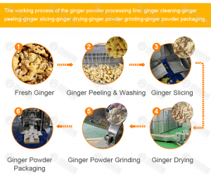Automatic Continuous Ginger Processing Line - Baixin