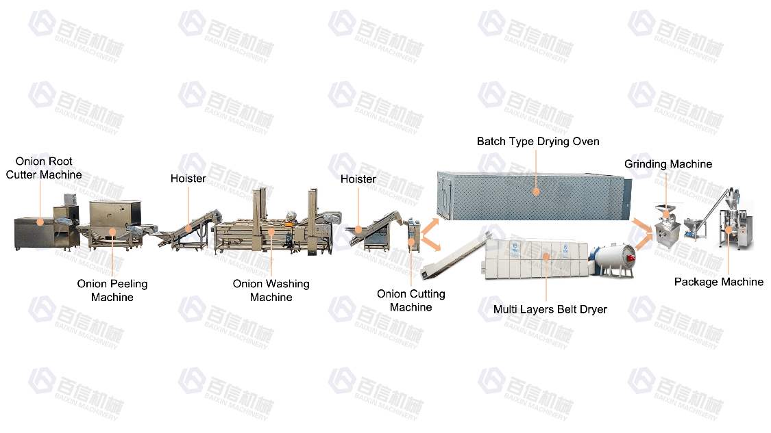 Automatic Continuous Onion Processing Line - Baixin