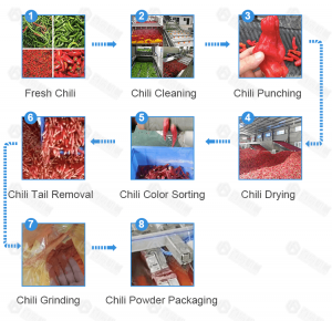 Chili Processing Line - Baixin
