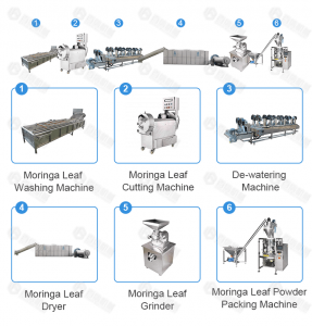 Moringa Leaf Processing Line - Baixin