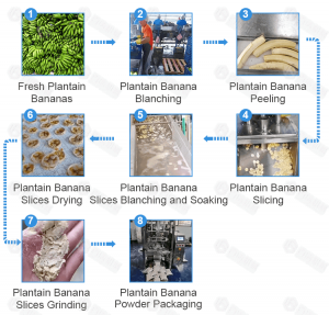 Banana Processing Line - Baixin